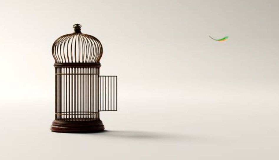 The gift of freedom – Sheridan Cooke
